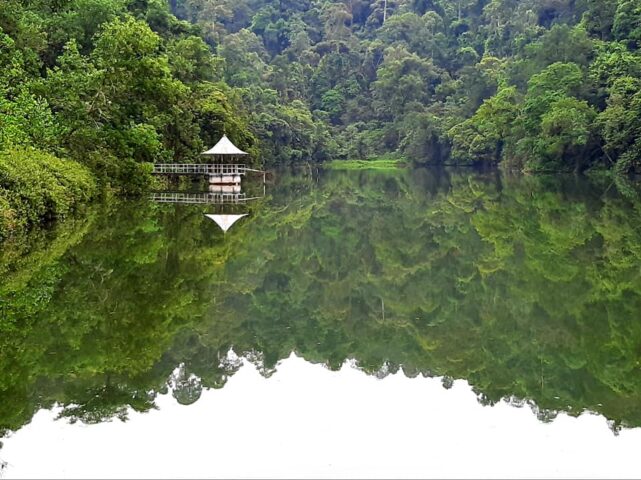 Top 8 Beginner Hiking Spots In Klang Valley For Malaysians