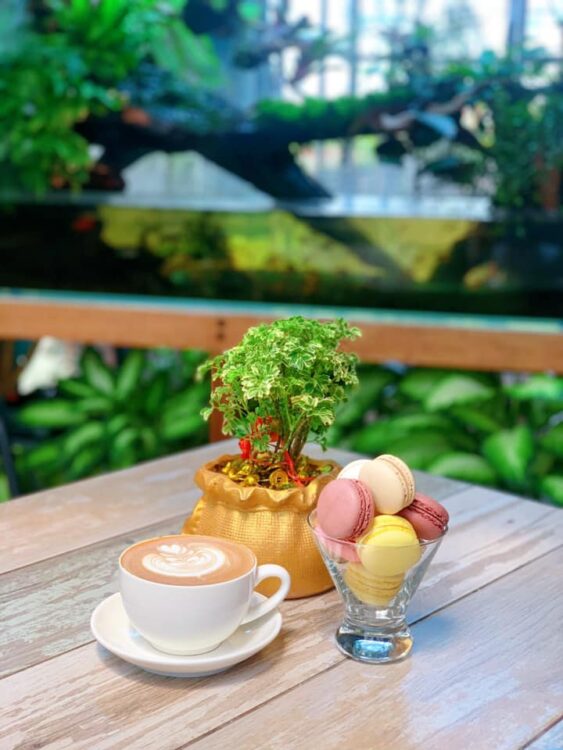 Top 6 Cozy and Best Ipoh Cafes that Cafe Hoppers Should Visit!