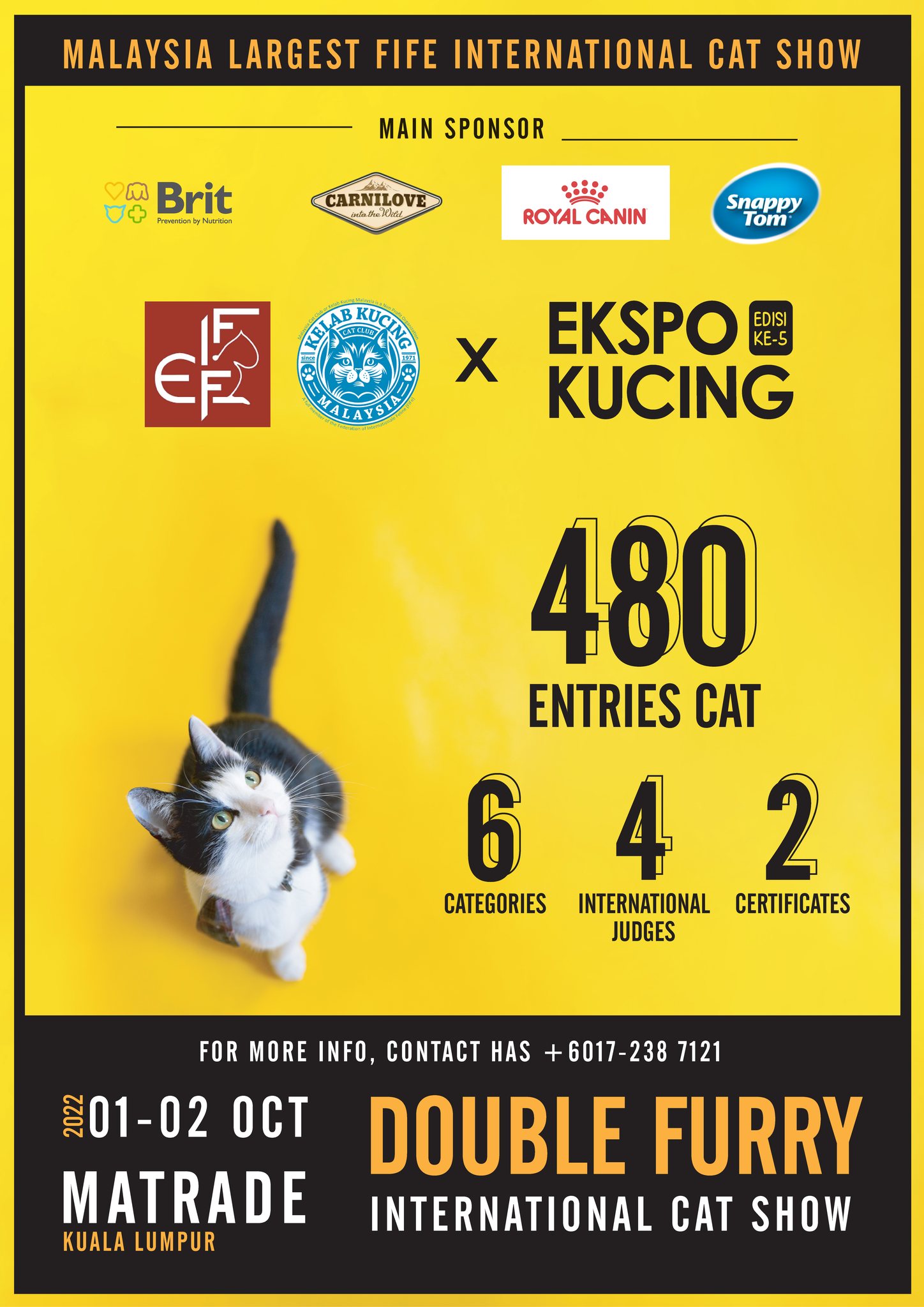 Cat Expo 2022, The Big Cat Fair In Malaysia Is Happening This Weekend