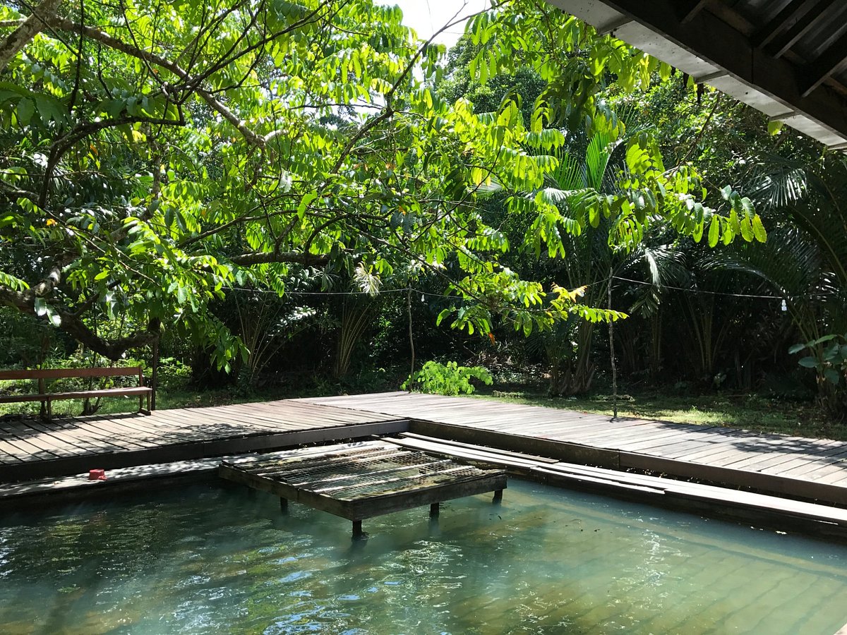 Best Hot Springs In Malaysia To Escape