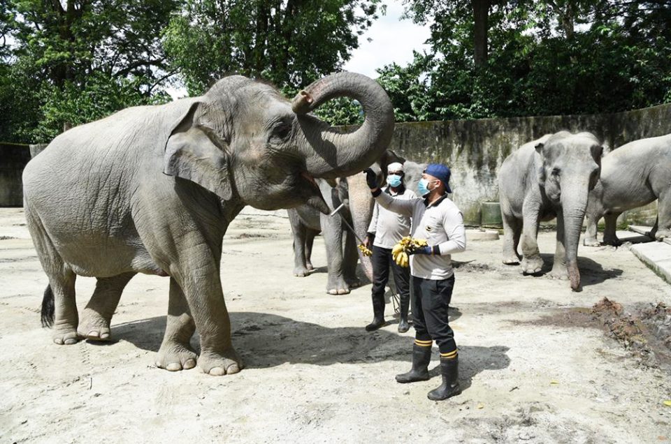 Top Zoos In Malaysia 2023 With Your Family This School Holiday