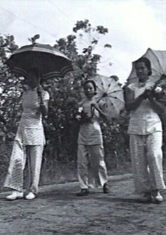 Chinese Community In Malaysia: Facts & History