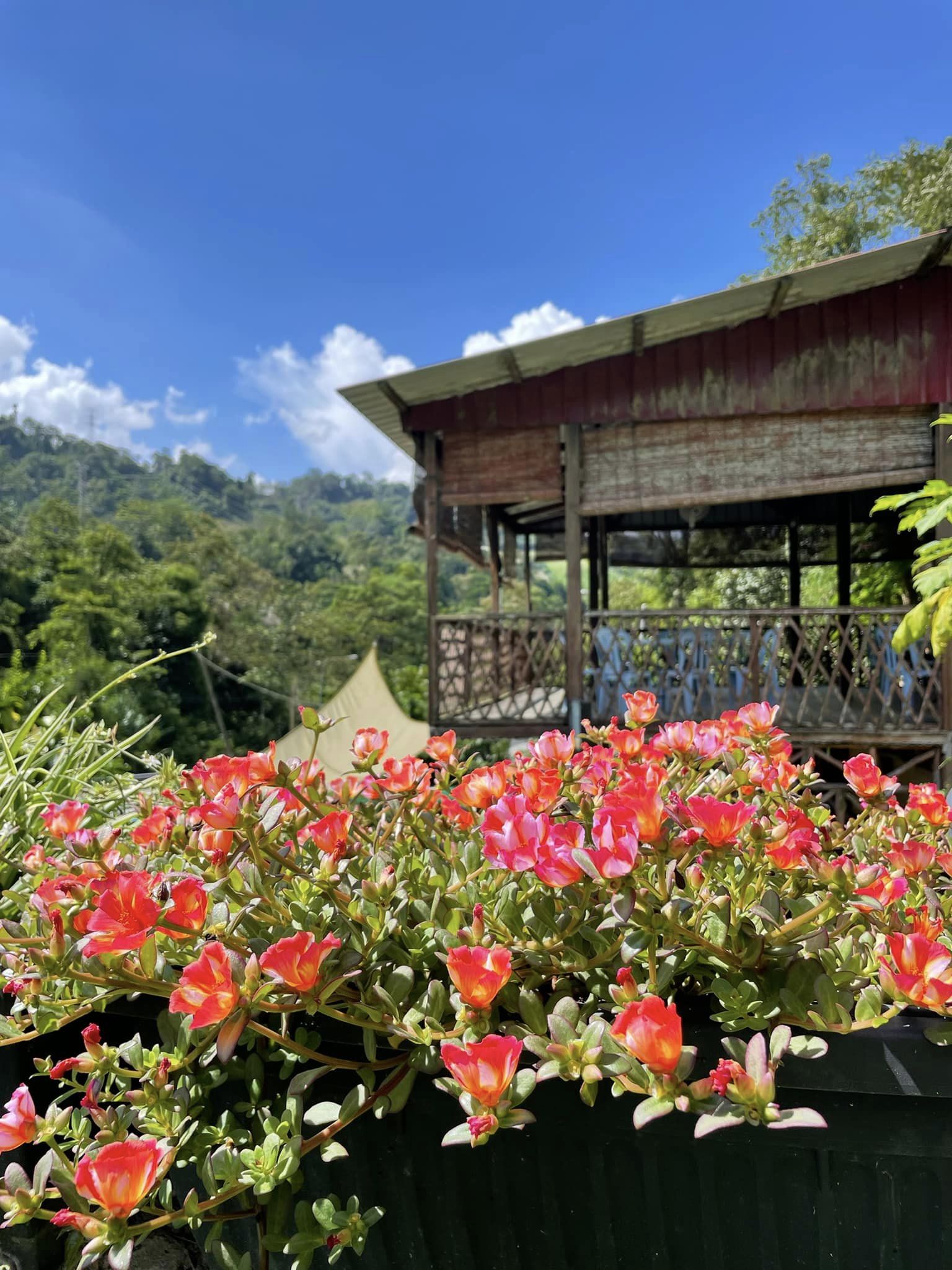 Support Local Lah: Best Farms In Malaysia You Can Tour To Enjoy Fresh ...