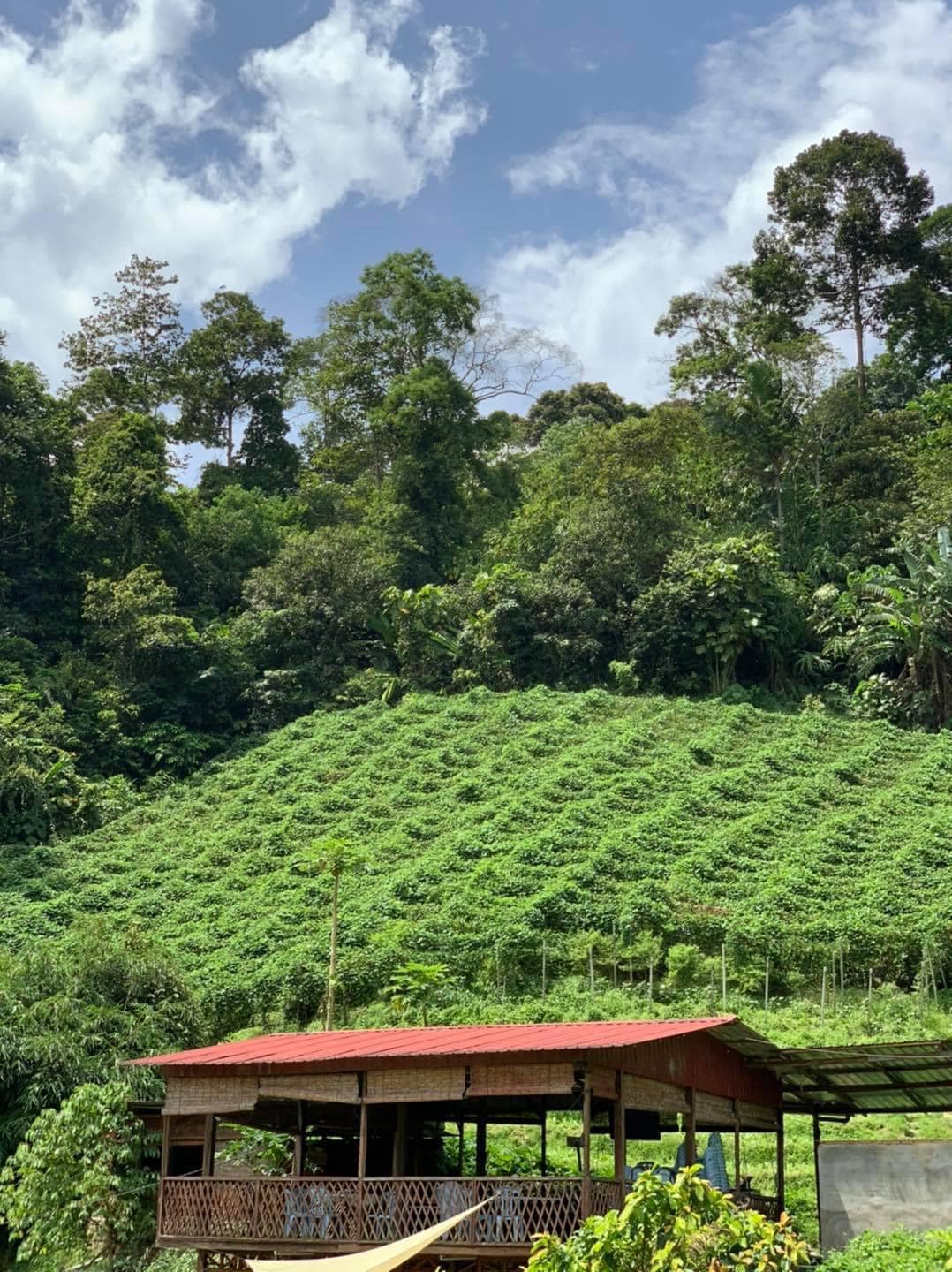 Support Local Lah: Best Farms In Malaysia You Can Tour To Enjoy Fresh ...