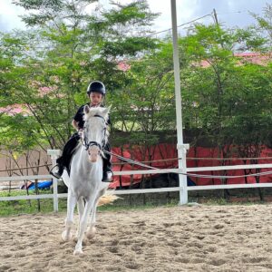 7 Horse Riding Spots in KL and Selangor