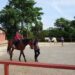 7 Horse Riding Spots in KL and Selangor