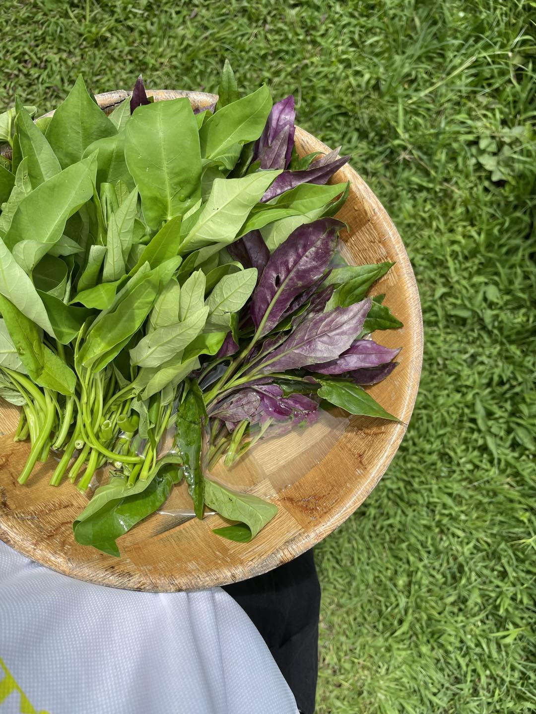Support Local Lah: Best Farms In Malaysia You Can Tour To Enjoy Fresh ...