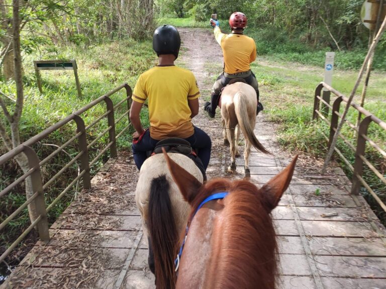 7 Horse Riding Spots in KL and Selangor