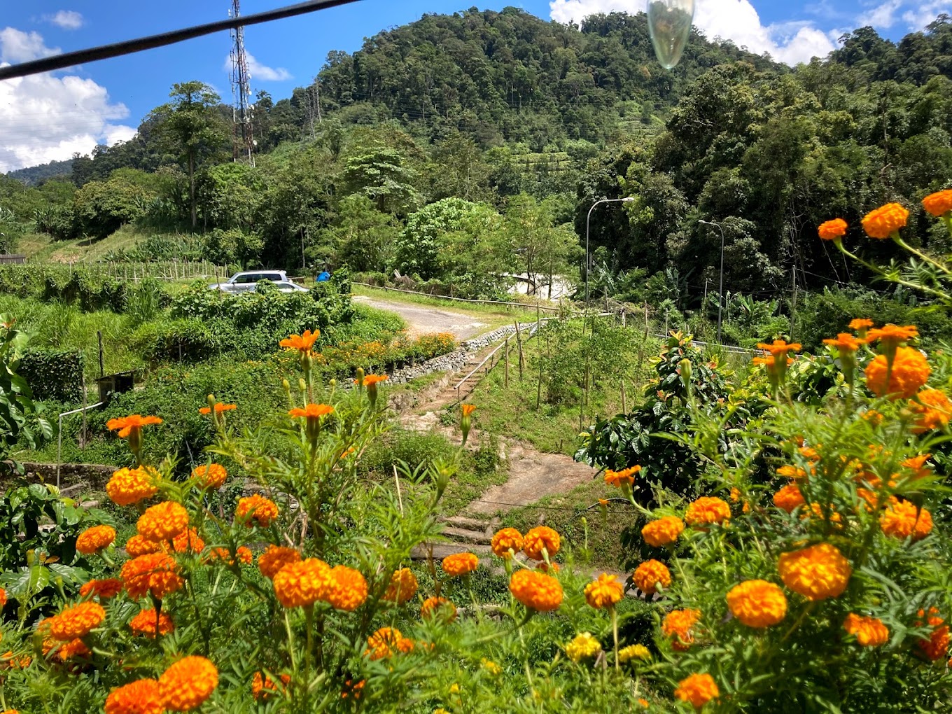 Support Local Lah: Best Farms In Malaysia You Can Tour To Enjoy Fresh ...