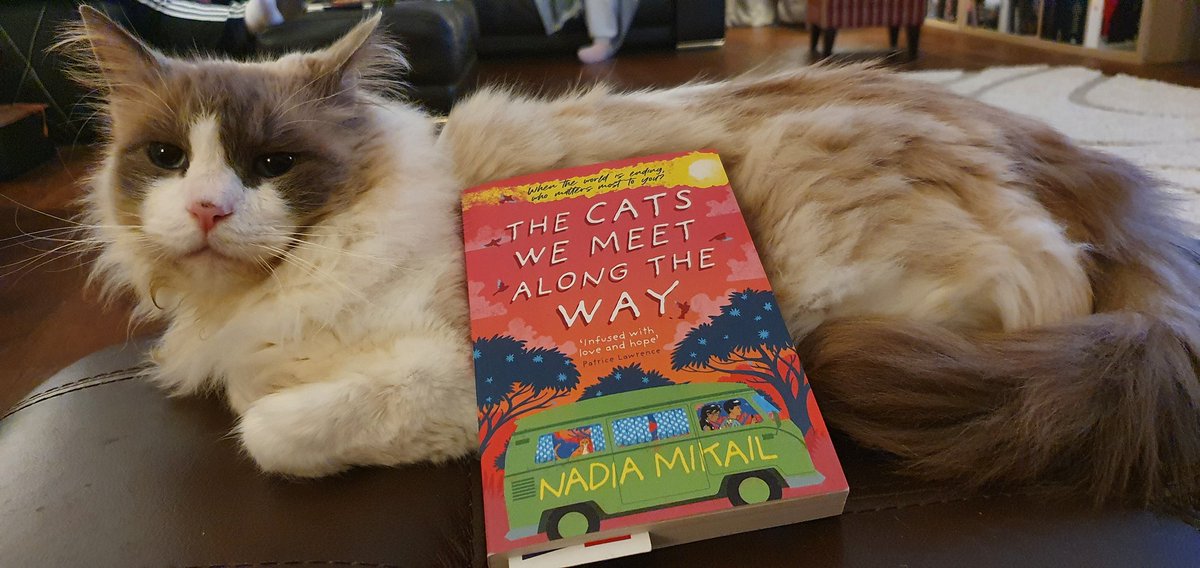 The Cats We Meet Along The Way Wins UK Children's Book Prize