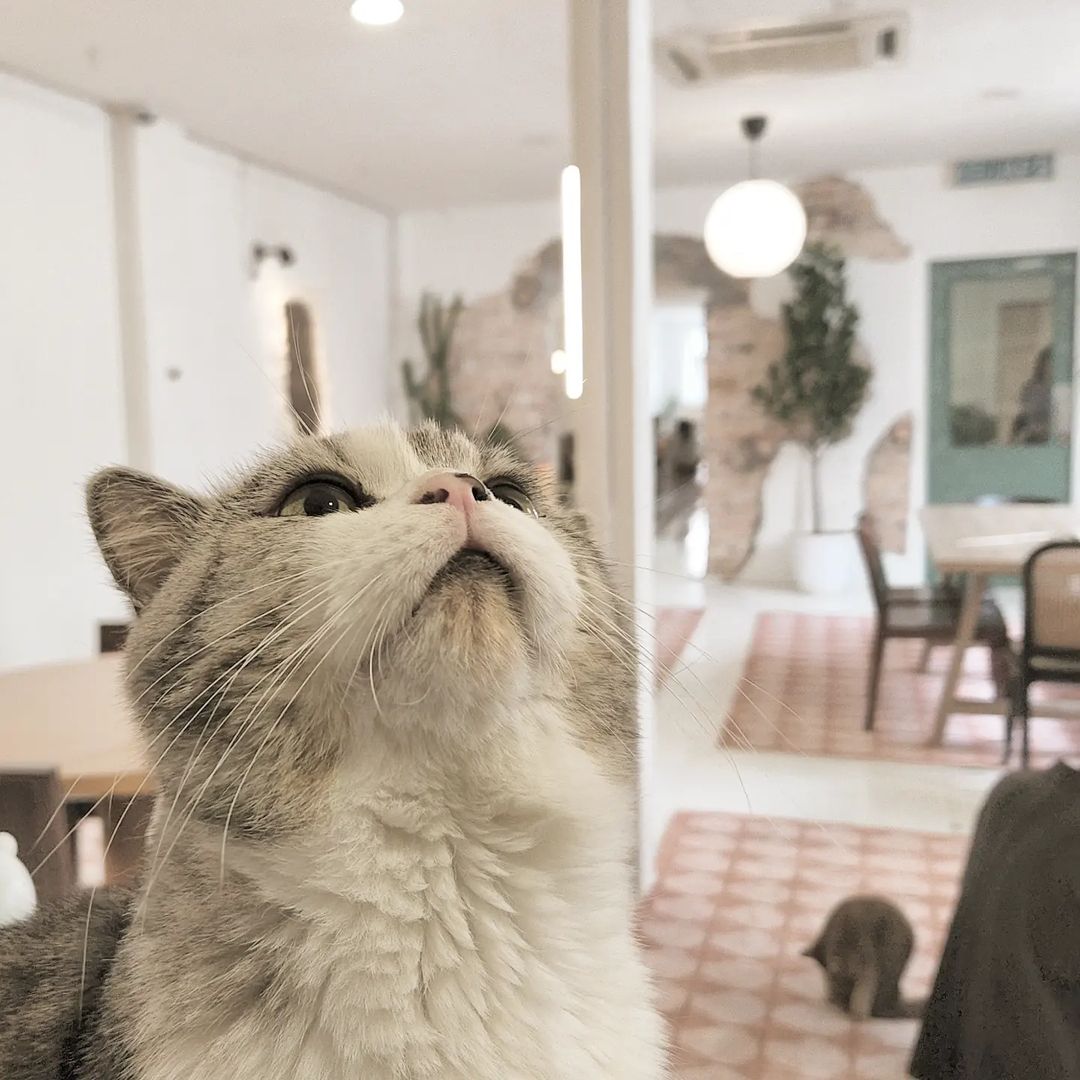 Visit These 10 Cozy Cafe To Unwind & Heal