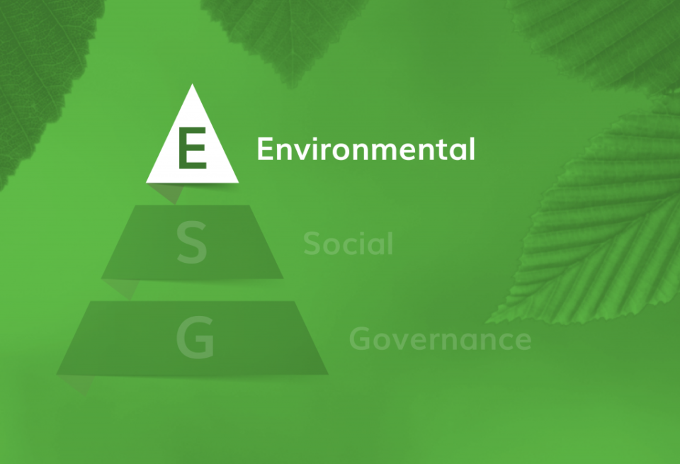 Environmental, Social, and Governance (ESG) Criteria In Company